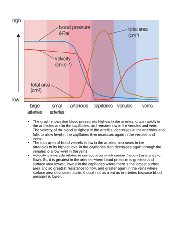 Edexcel International A level biology Unit 1 | Teaching Resources
