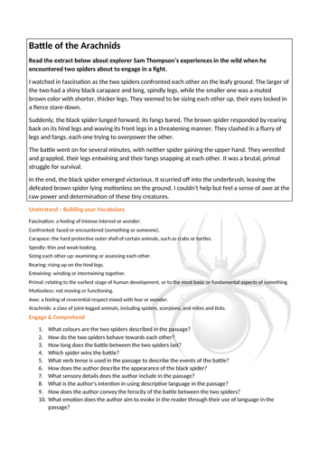 Non-Fiction Style Reading Comprehension: Spiders | Teaching Resources