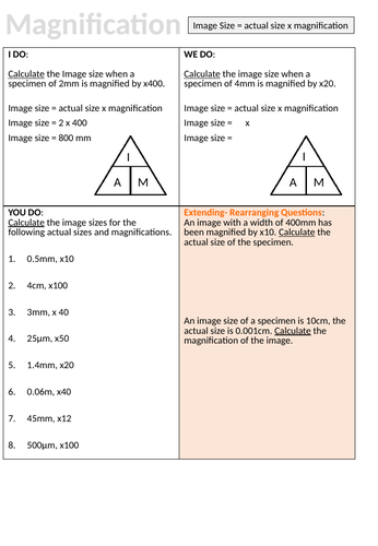 Magnification Equation Faded Practice | Teaching Resources
