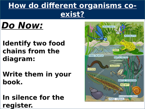 Interdependence (plants, food webs) KS3 Whole topic lessons (middle ...