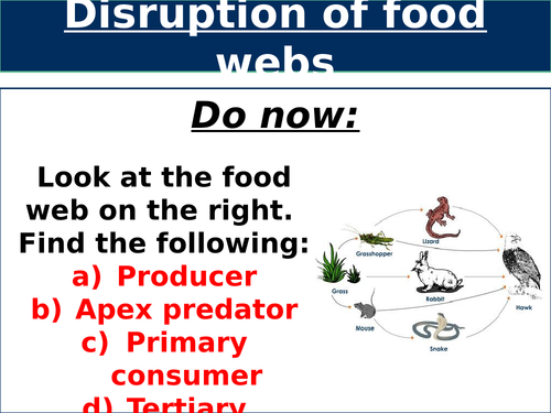 Interdependence (plants, food webs) KS3 Whole topic lessons (middle ...