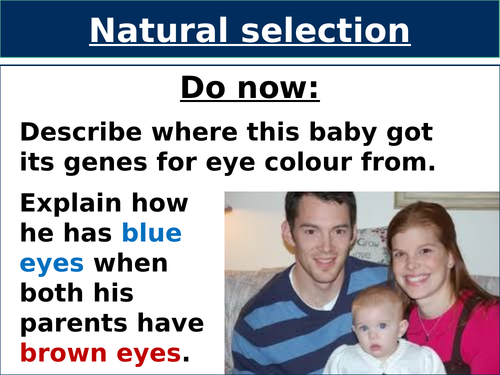 Inheritance and evolution KS3 Whole topic lessons (middle school ...