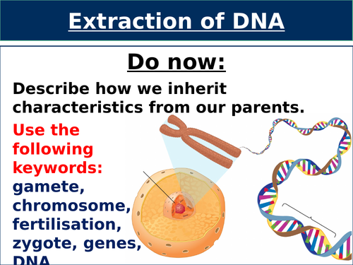 Inheritance and evolution KS3 Whole topic lessons (middle school ...