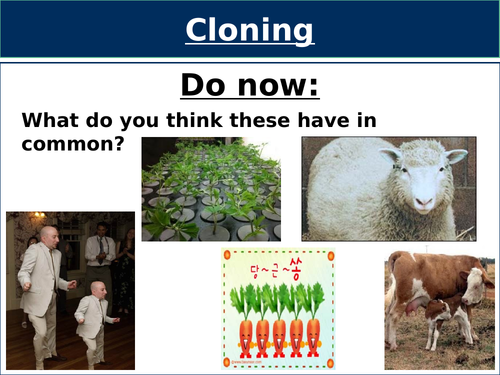 Inheritance and evolution KS3 Whole topic lessons (middle school ...