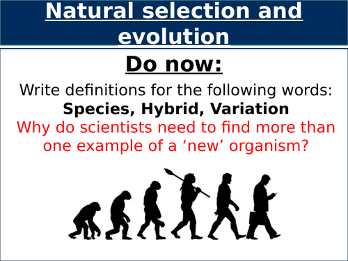 Inheritance and evolution KS3 Whole topic lessons (middle school ...
