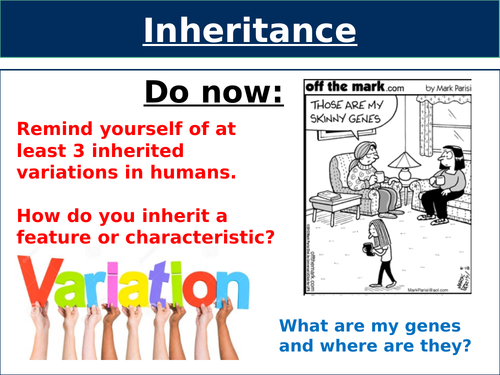 Inheritance and evolution KS3 Whole topic lessons (middle school ...