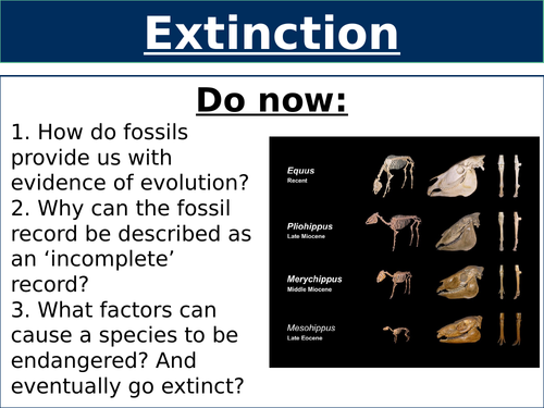 Inheritance and evolution KS3 Whole topic lessons (middle school ...