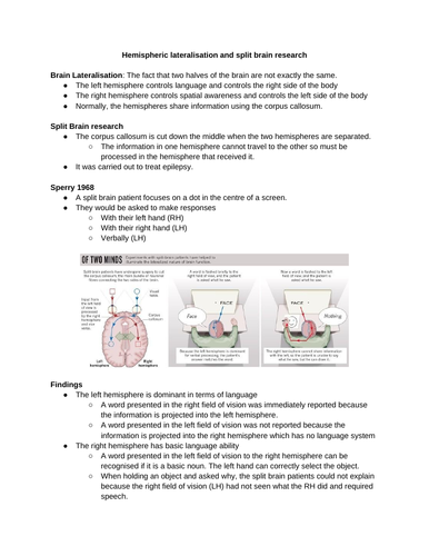 AQA psychology Biopsychology notes | Teaching Resources