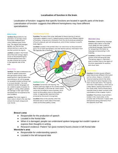 AQA psychology Biopsychology notes | Teaching Resources