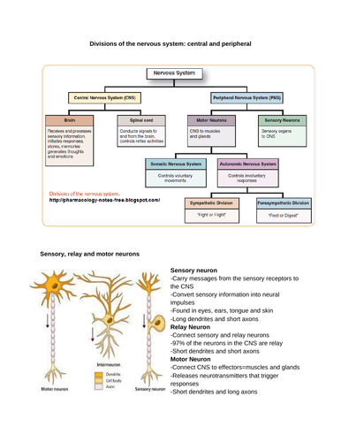 AQA psychology Biopsychology notes | Teaching Resources AQA psychology Biopsychology notes | Teaching Resources