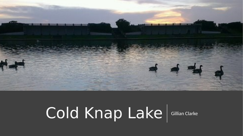 Cold Knap Lake by Gillian Clarke | Teaching Resources