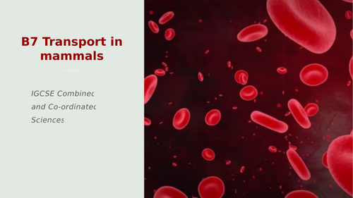 IGCSE Biology - B7 Transport in mammals | Teaching Resources