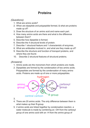 CONCISE A* A Level Biology Topic 1 Biological Molecules Revision Notes ...