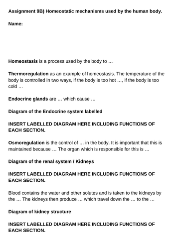 Homeostatic mechanisms used by the human body BTEC Applied Science ...