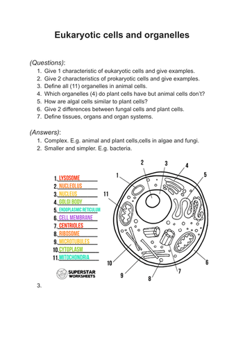 CONCISE A* A Level Biology Topic 2 Cells & Cell Membrane Revision Notes ...