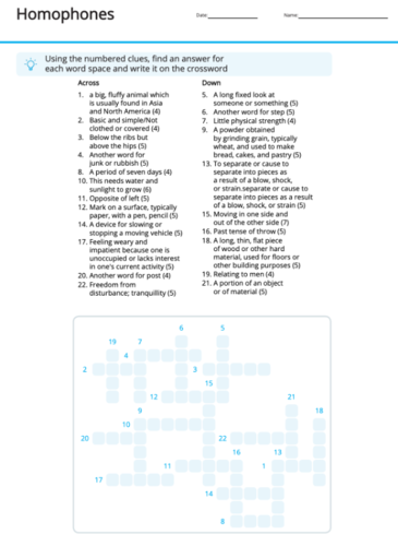 Homophones Introduction PP + Worksheet | Teaching Resources