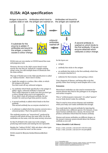AQA ELISA notes and diagram | Teaching Resources