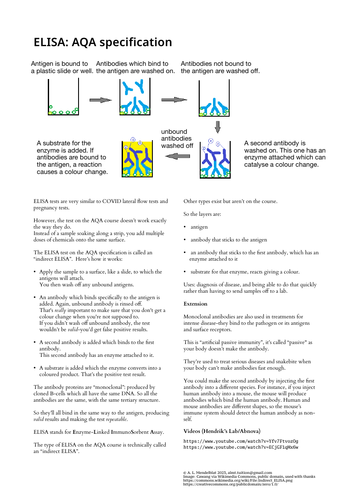 AQA ELISA notes and diagram | Teaching Resources