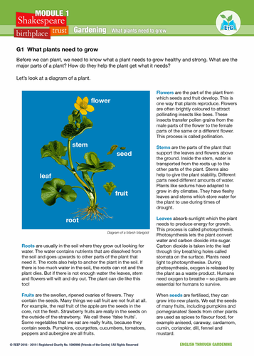 EAL English Through Gardening - Growing Plants | Teaching Resources