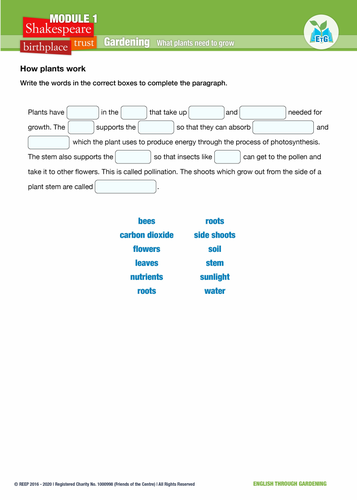 EAL English Through Gardening - Growing Plants | Teaching Resources