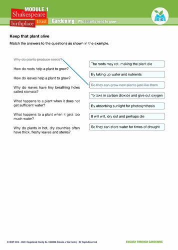 EAL English Through Gardening - Growing Plants | Teaching Resources