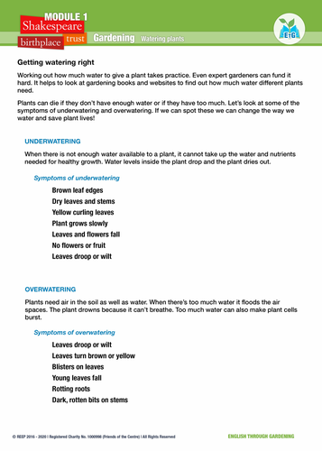 EAL English Through Gardening - Growing Plants | Teaching Resources