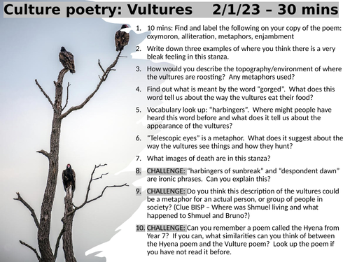 Culture poetry KS3 Vultures Chinua Achebe | Teaching Resources