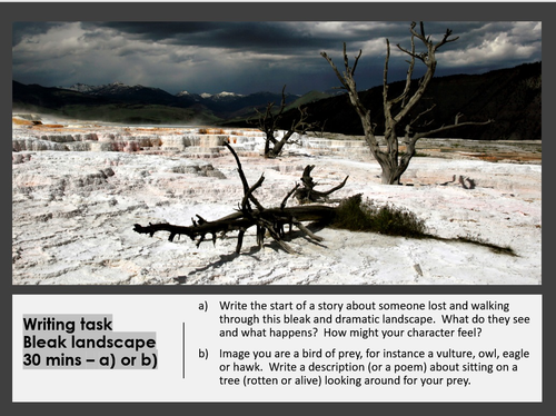 Culture poetry KS3 Vultures Chinua Achebe | Teaching Resources