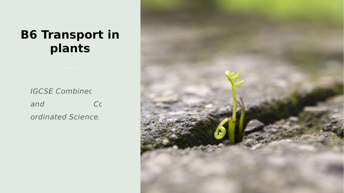 IGCSE Biology - B6 Transport in plants | Teaching Resources
