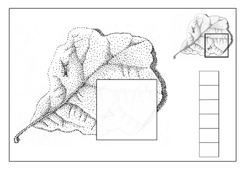 Pointillism / Stippling Worksheet | Teaching Resources