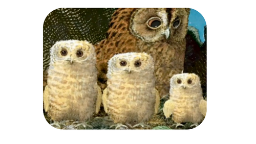 Owl Babies script and sequencing - ppt and cut and stick - EYFS or Year ...