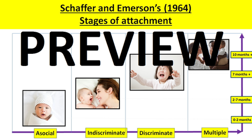 Schaffer & Emerson's (1964) Stages of attachment - AQA A Level ...