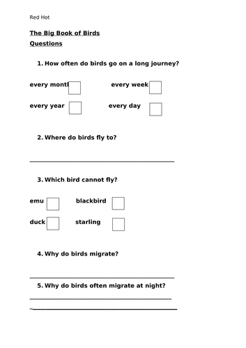 The Big Book of Birds Book Talk | Teaching Resources