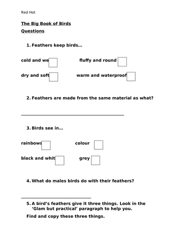 The Big Book of Birds Book Talk | Teaching Resources