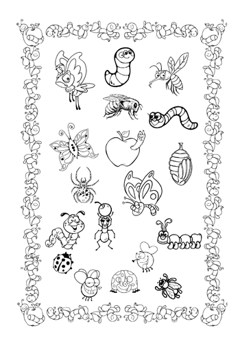 Spring Insects Poster and Writing Frame | Teaching Resources