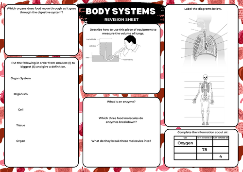KS3 Body Systems Revision sheet A3 | Teaching Resources