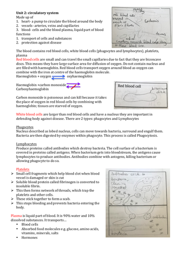 Ccea Gcse Double Award Biology Circulatory System Revision Notes Teaching Resources