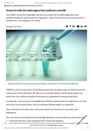 Stem Cell Research Task (OCR) | Teaching Resources