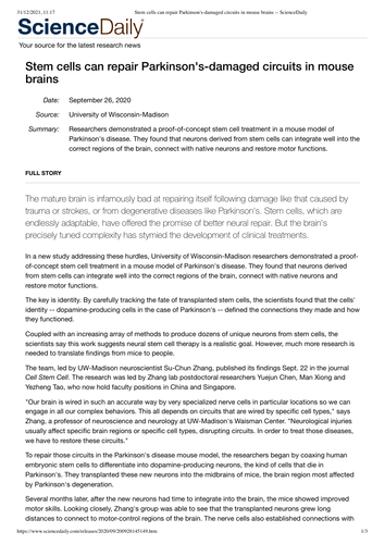 Stem Cell Research Task (OCR) | Teaching Resources