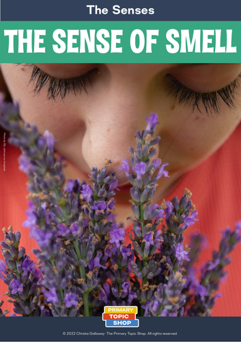 The Sense of Smell | Teaching Resources