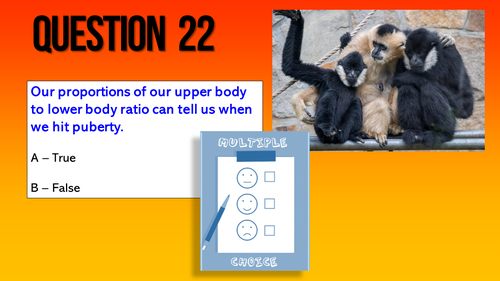 Puberty Quiz | Teaching Resources
