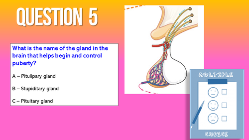 Puberty Quiz | Teaching Resources