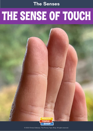 The Sense of Touch | Teaching Resources