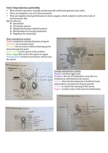 Gcse Ccea Double Award Biology Reproduction And Fertility Revision Notes Teaching Resources
