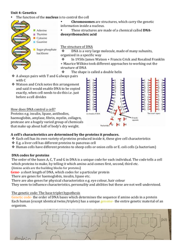 Gcse Ccea Double Award Biology Genetics Revision Notes Teaching Resources