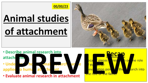 Animal studies of attachment - AQA A Level Psychology (Attachment ...