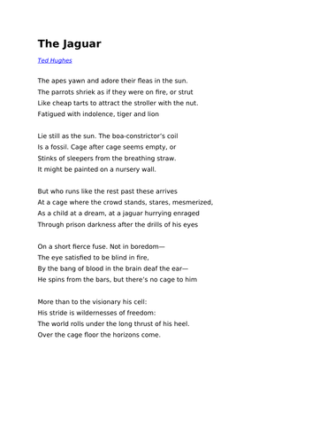 Ted Hughes 'The Jaguar' Poem Lesson | Teaching Resources
