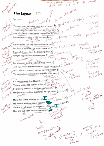 Ted Hughes 'The Jaguar' Poem Lesson | Teaching Resources