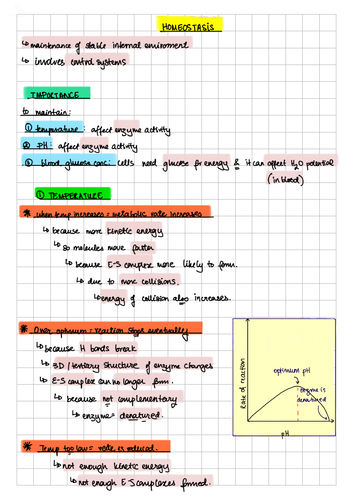 HOMEOSTASIS full notes- AQA A level Biology | Teaching Resources