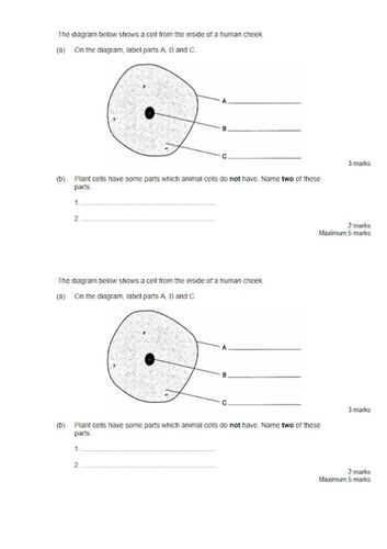 KS3 Cells - Full Topic Resources | Teaching Resources
